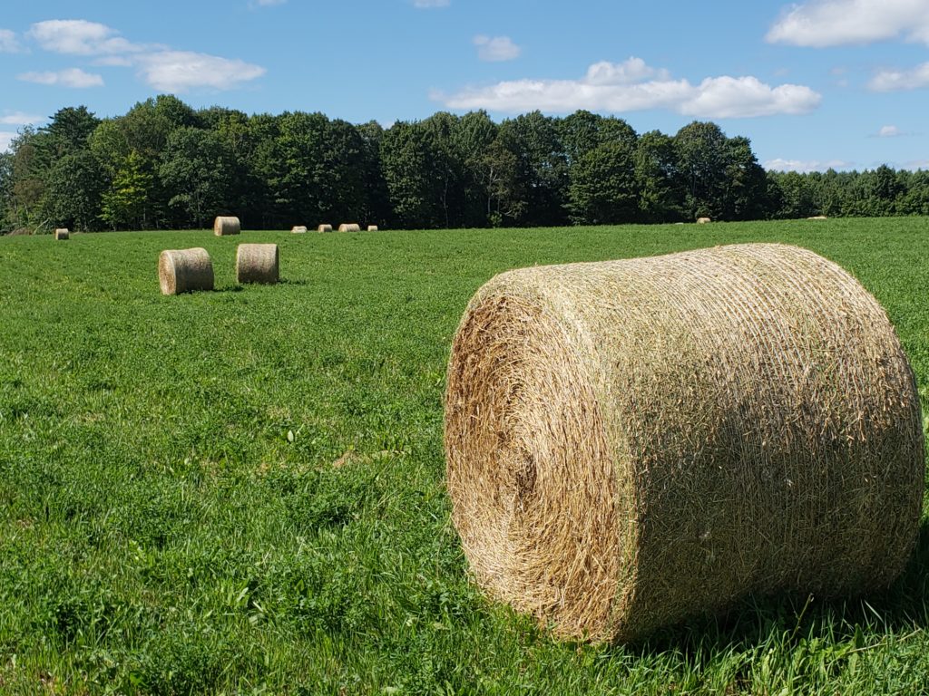 Hot and dry weather taking toll on state’s hay crop -Piscataquis Observer