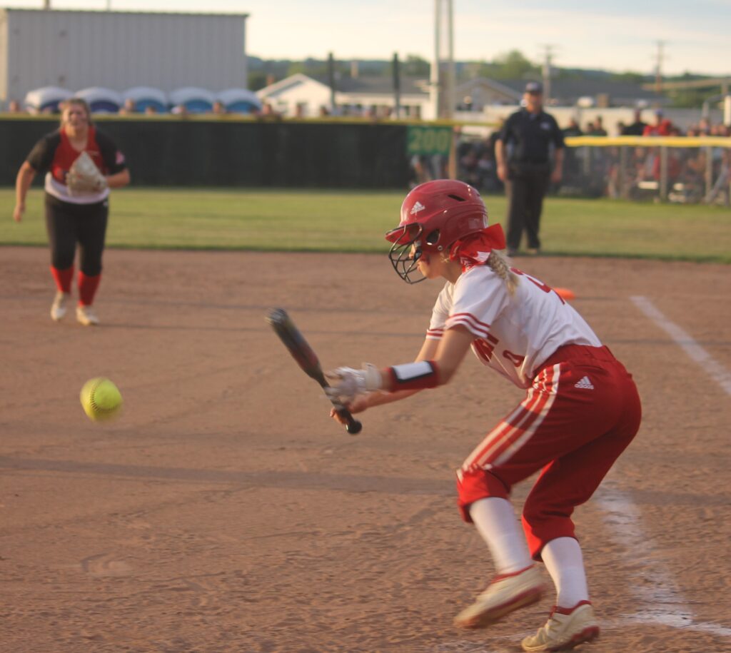 Herrick, Beem spark Dexter past Central for C North softball crown ...