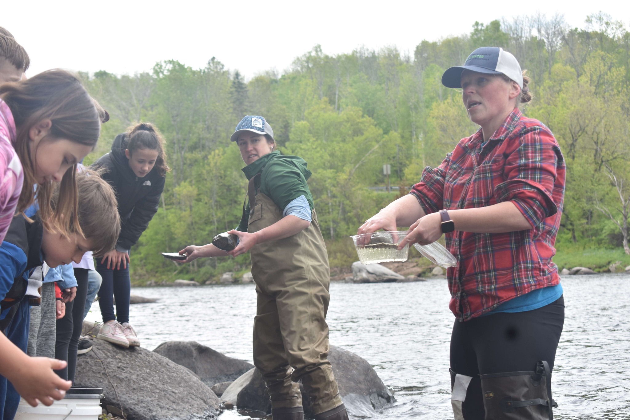 Fish into water, SeDoMoCha fourth-graders release their trout ...