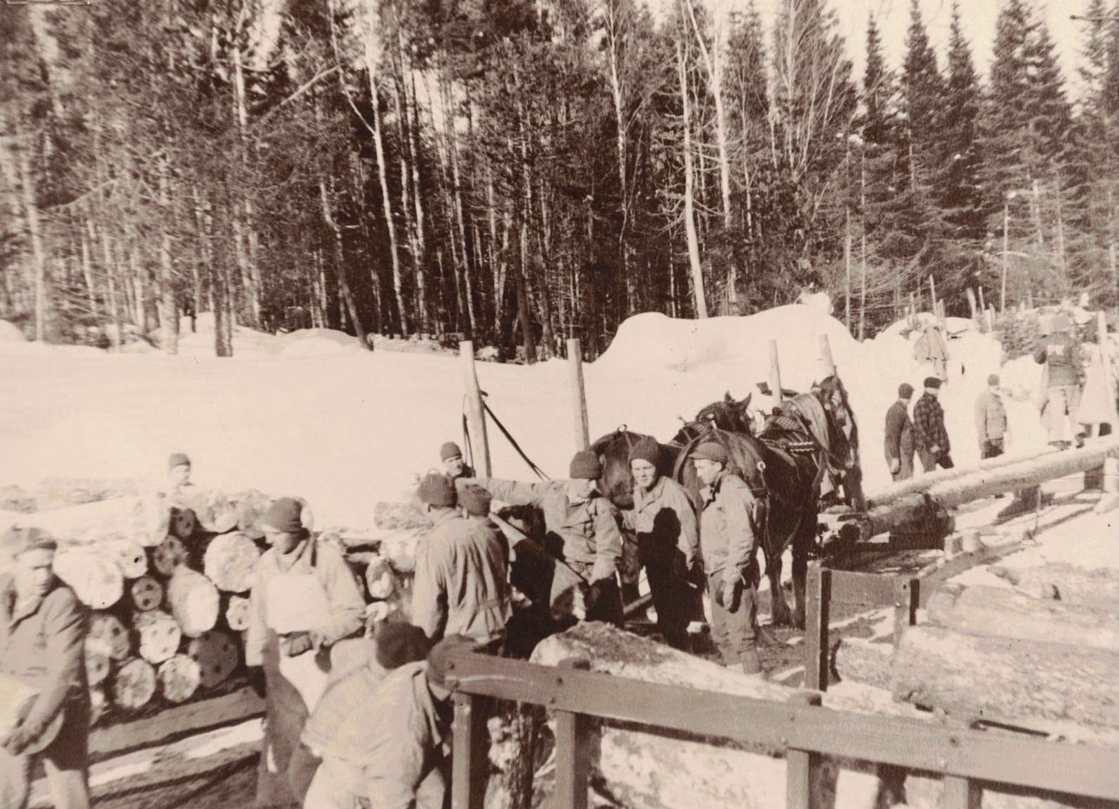 Unearthed jacket reveals glimpse into Maine POW camp during WWII ...