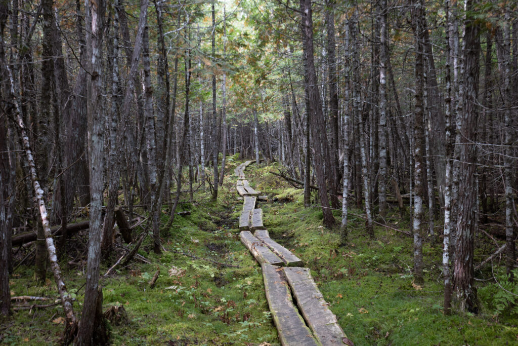 This family hike has a story walk and unique surprises -Piscataquis ...
