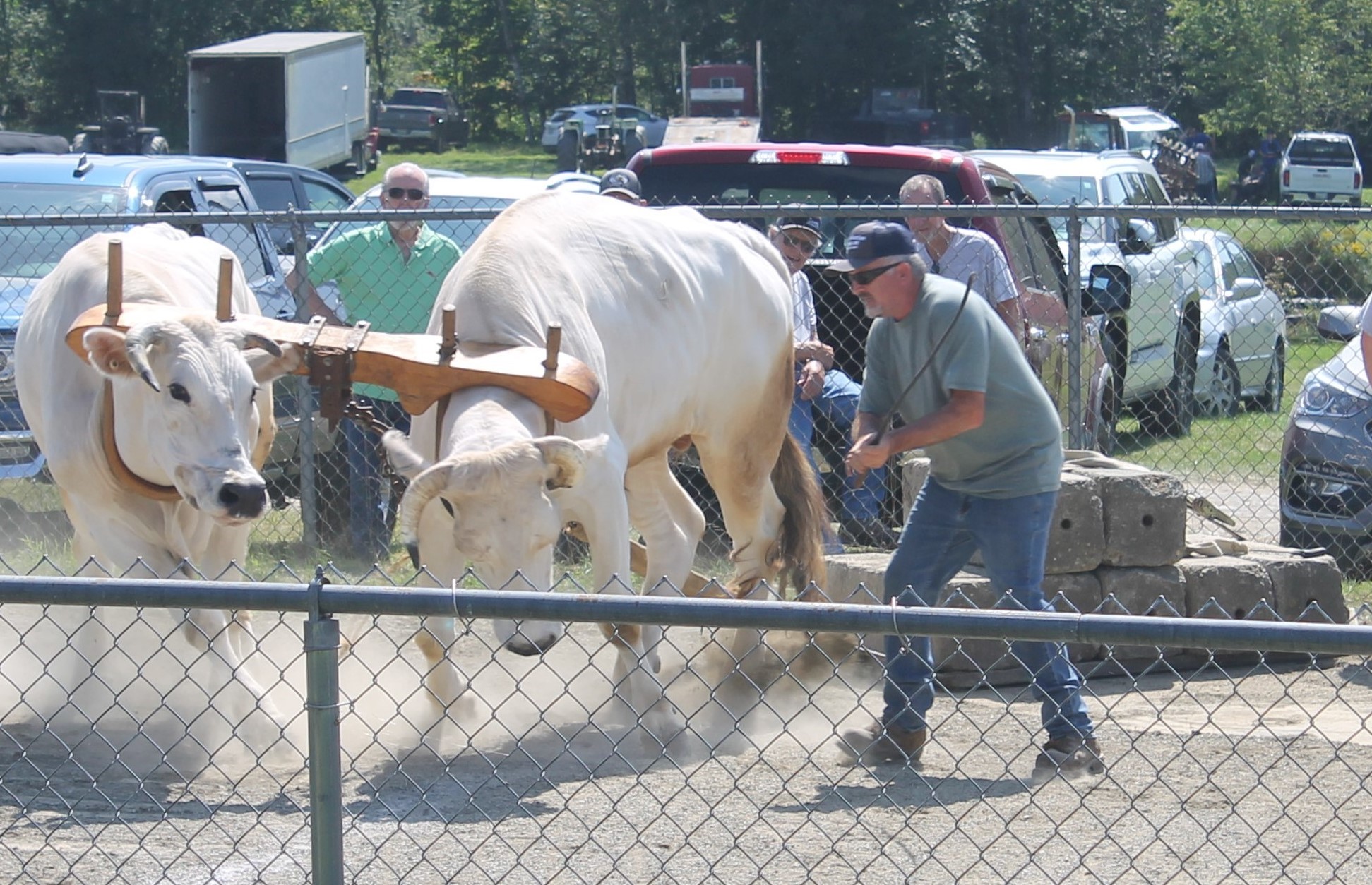 Scenes from the 137th Piscataquis Valley Fair -Piscataquis Observer