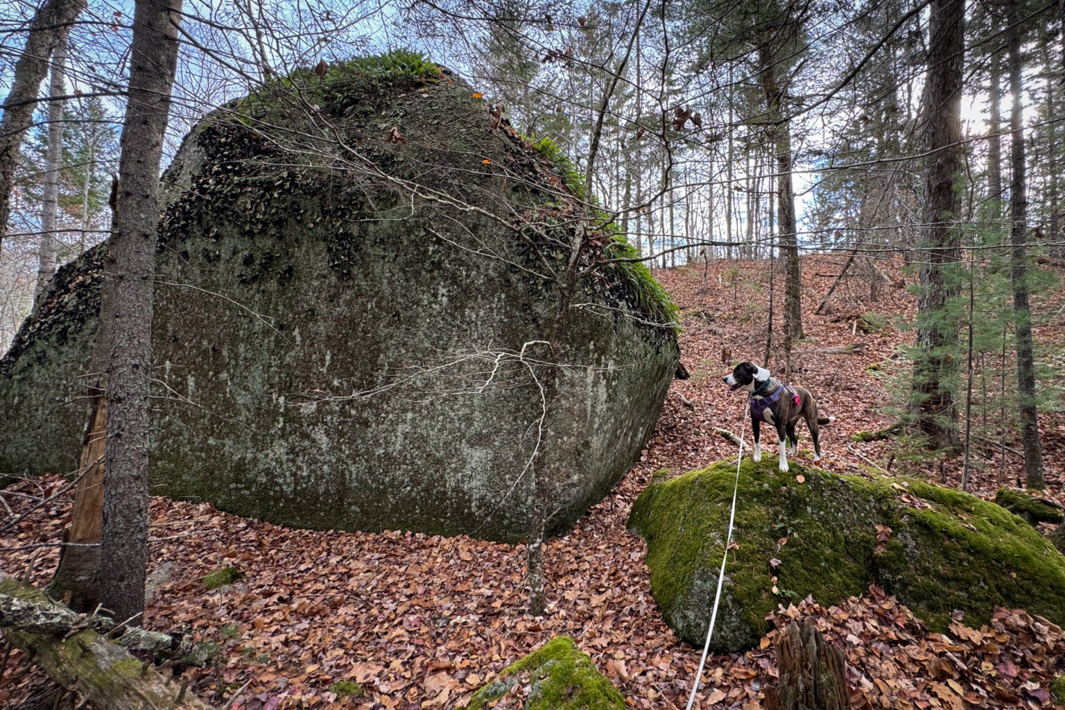 You can visit some of Maine’s giant boulders -Piscataquis Observer
