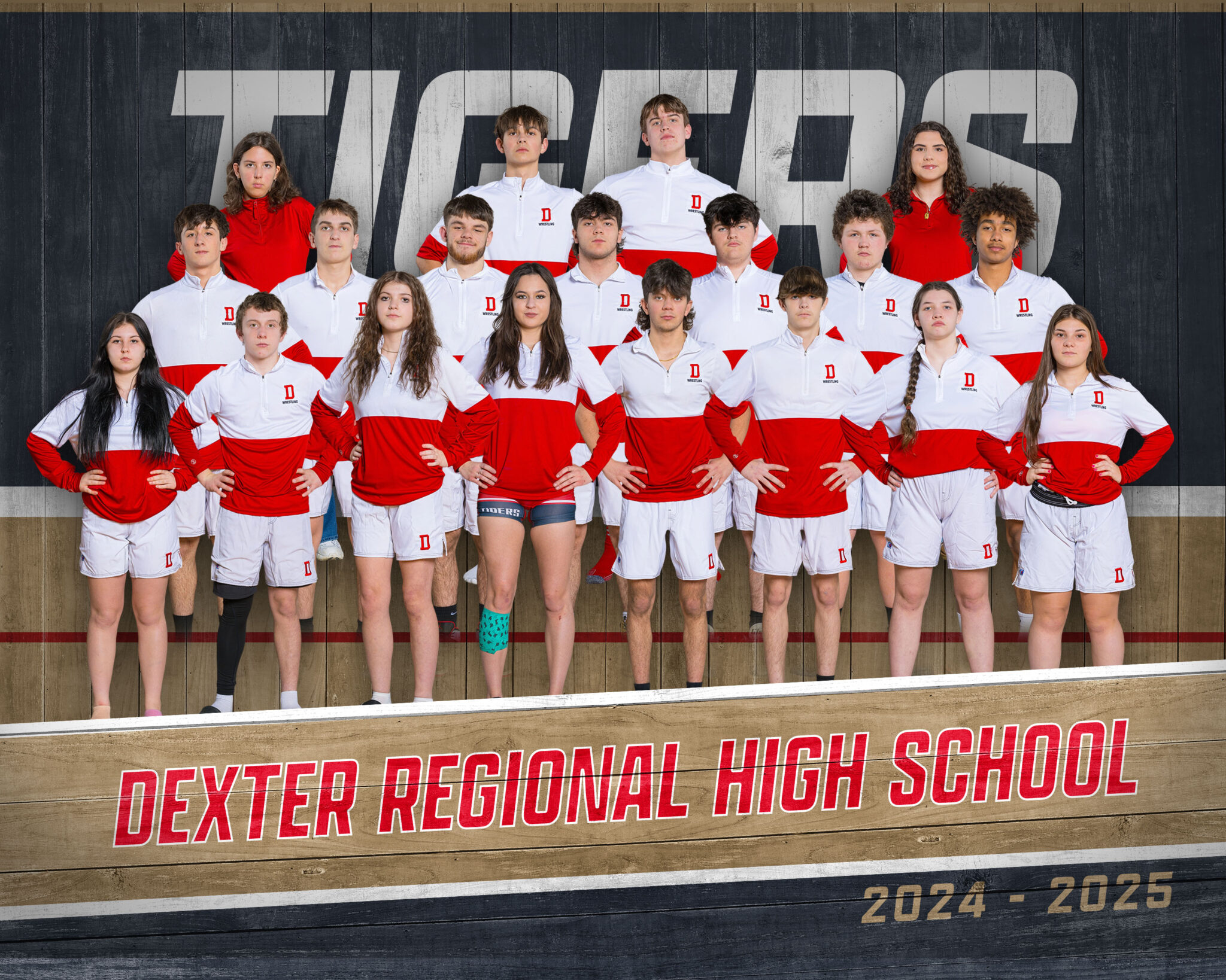 Dexter wrestling finishes third at Class B North championship ...