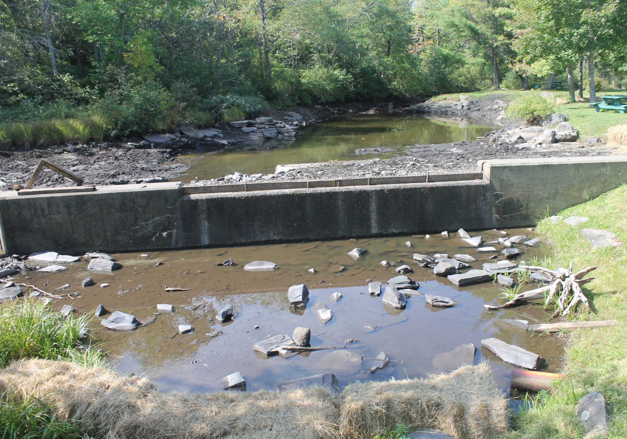 Improvements being made to Kiwanis Park pond -Piscataquis Observer