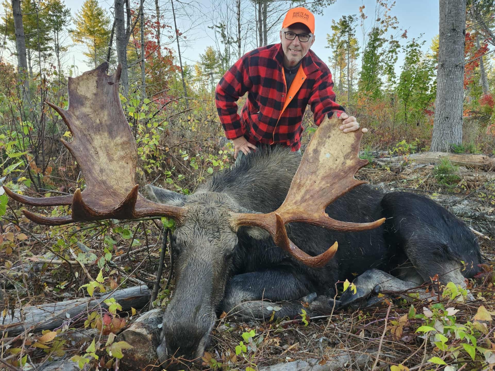 Maine hunters saw lower success rates in September bull moose season ...