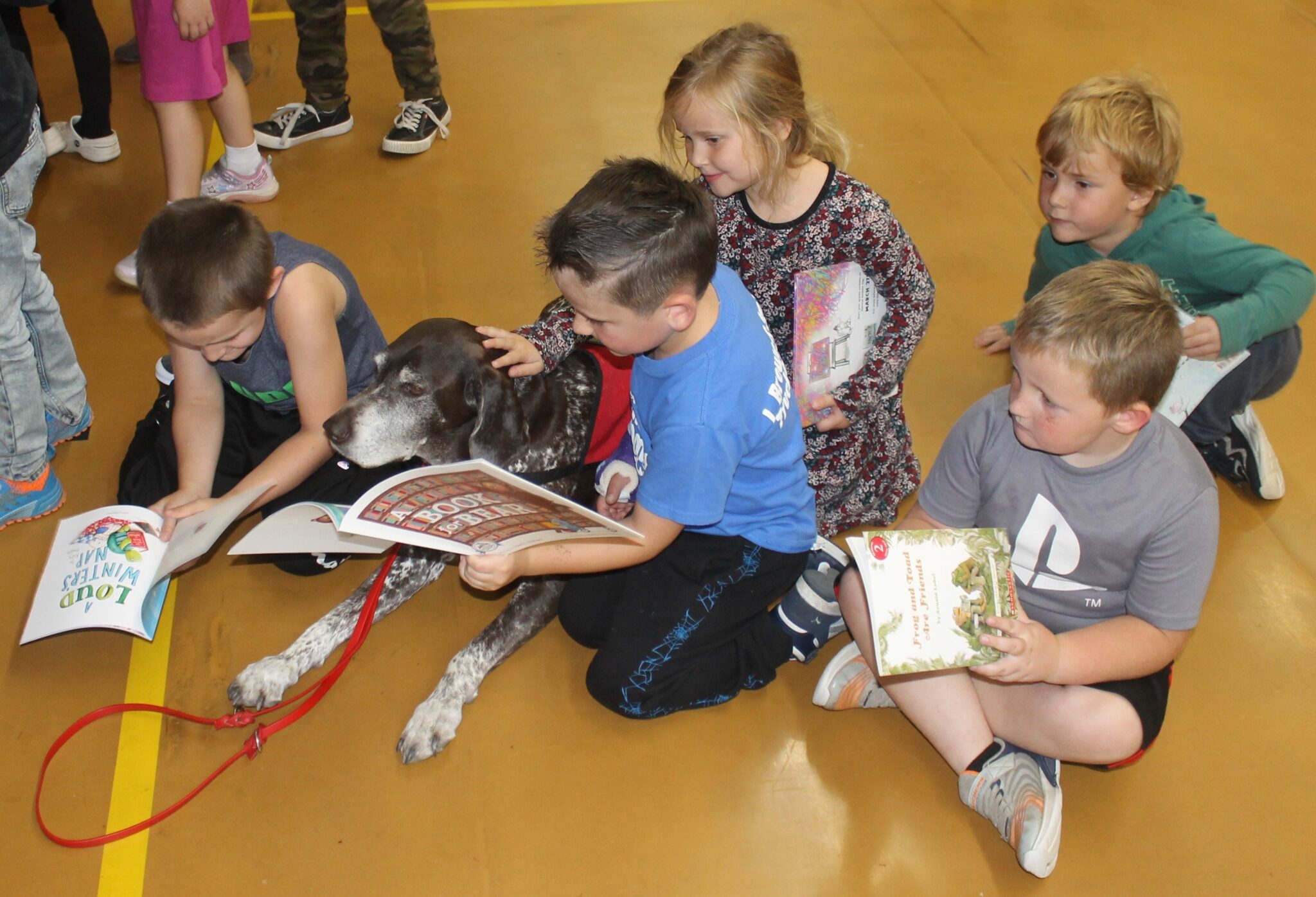 Reading dog celebrates 14th birthday at Milo Elementary -Piscataquis ...