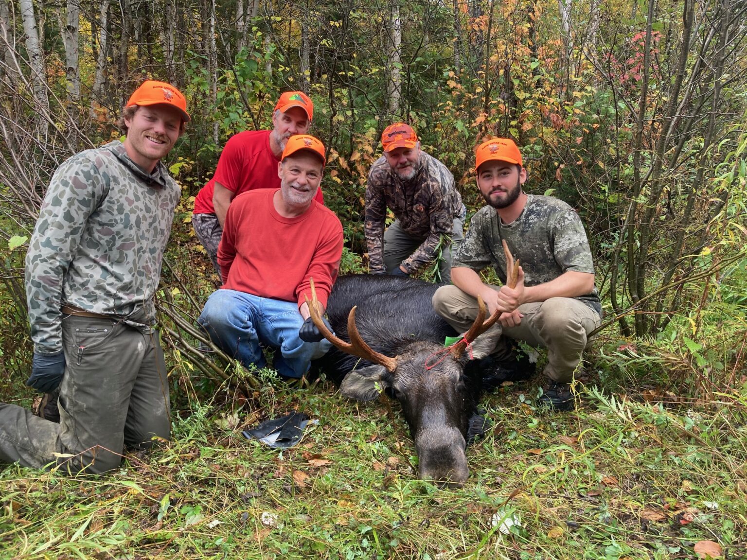 Heat, hard roads and hard-won bulls in Maine’s moose hunt -Piscataquis ...