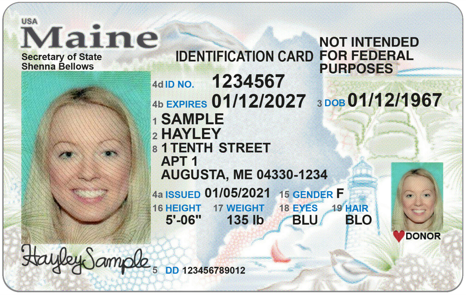 Mainers can now renew Real ID online -Piscataquis Observer