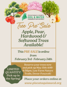 PCSWCD online tree pre-sale -Piscataquis Observer