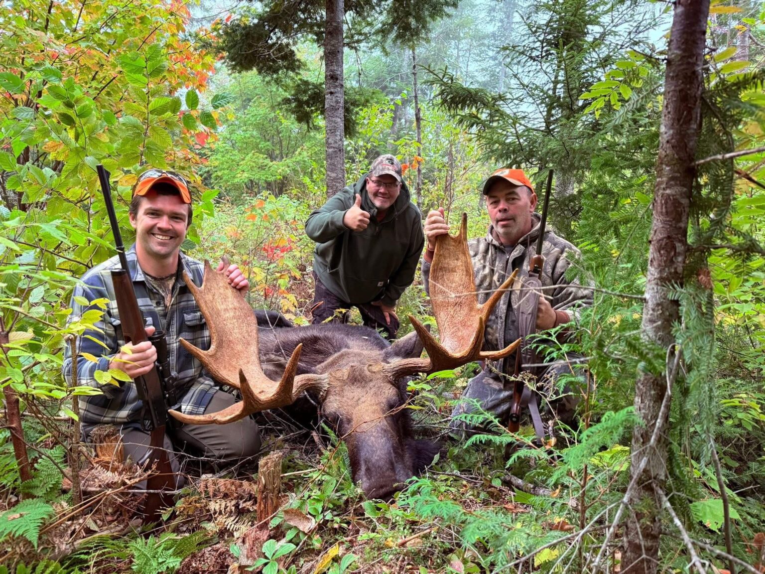Maine’s 2025 moose harvest report is out. Here are the key takeaways ...